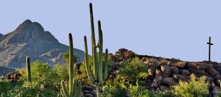 Evergreen_Hesychia_Intro – OMPH